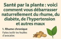 Cuisine : préparation du Atassi ou watché ou Ayimolou - Benin News